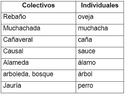 30 ejemplos de sustantivos colectivos y definición - Yavendrás